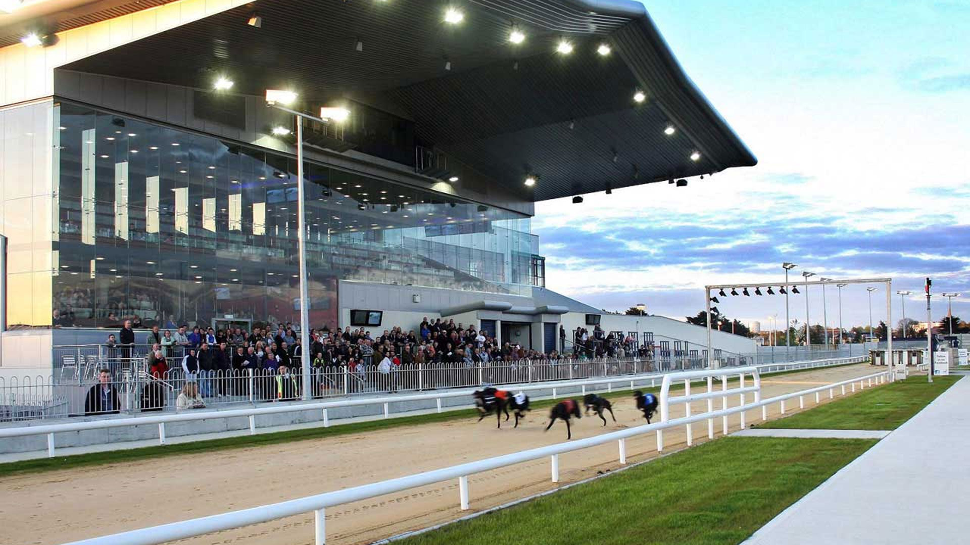 Limerick Greyhound Stadium | Great National South Court Hotel