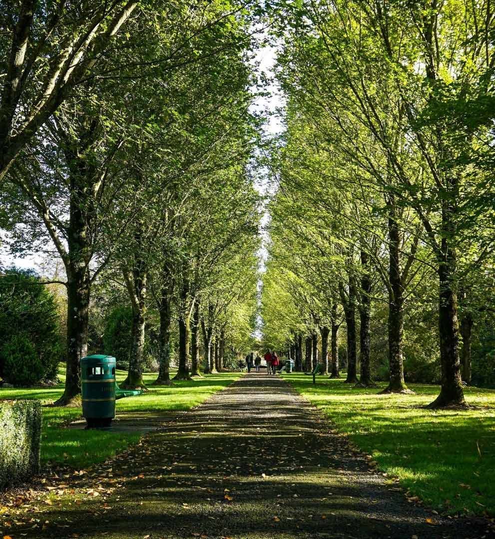 Adare Village | What to Do in Limerick | South Court Hotel