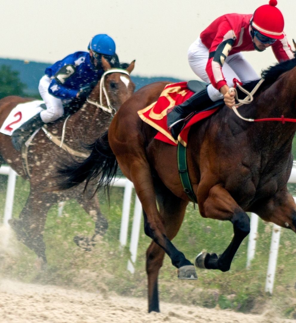 Limerick Racecourse | Horse Racing Venues Ireland | South Court Hotel