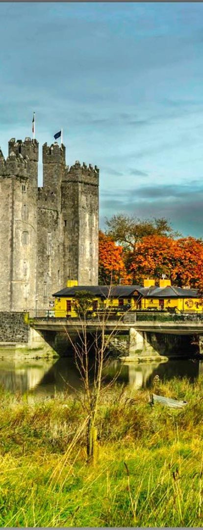 Bunratty Castle & Folk Park | Family Activities | South Court Hotel