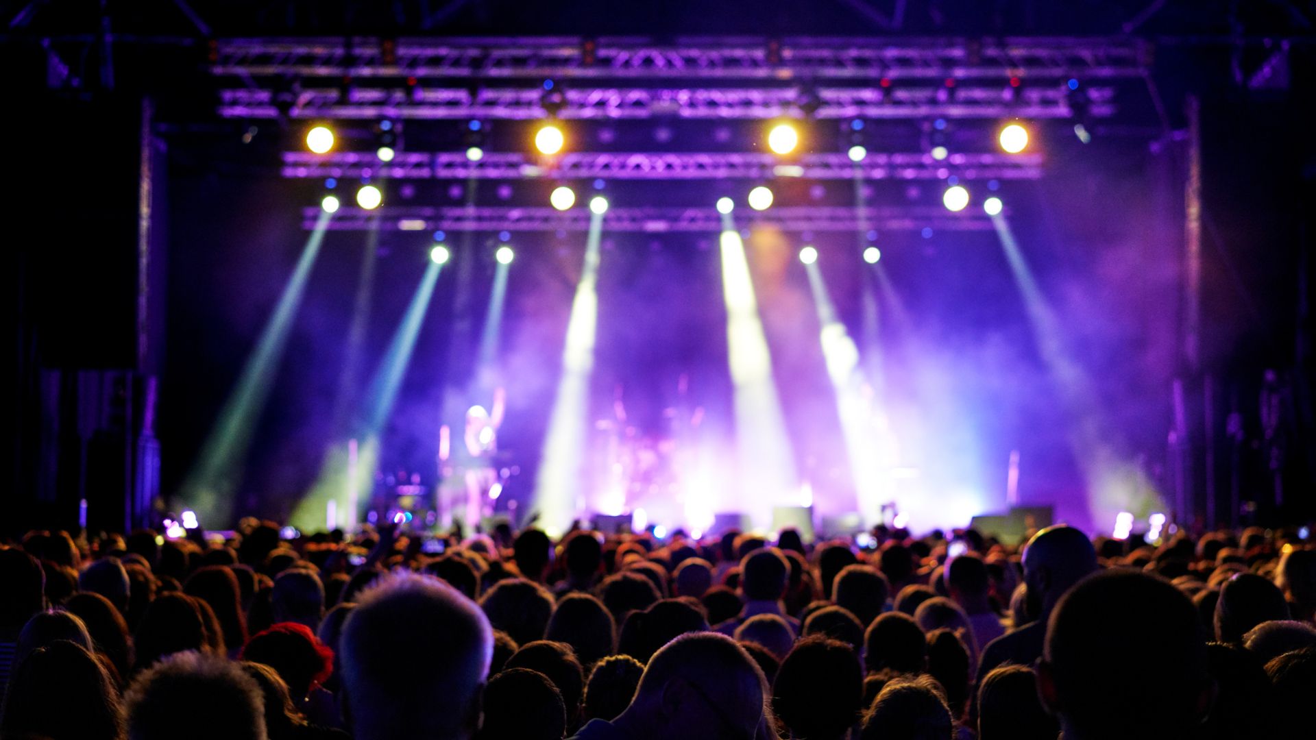 Kingfishr at Thomond Park | South Court Hotel